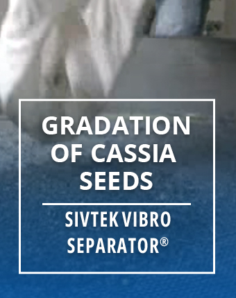 Gradation of Cassia Seeds