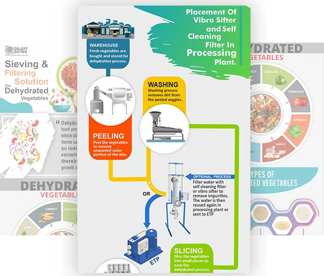 Sieving & Filtering Solution For Dehydrated Vegetables - Galaxy Sivtek Sieving & Filtering Solution For Dehydrated Vegetables - Galaxy Sivtek