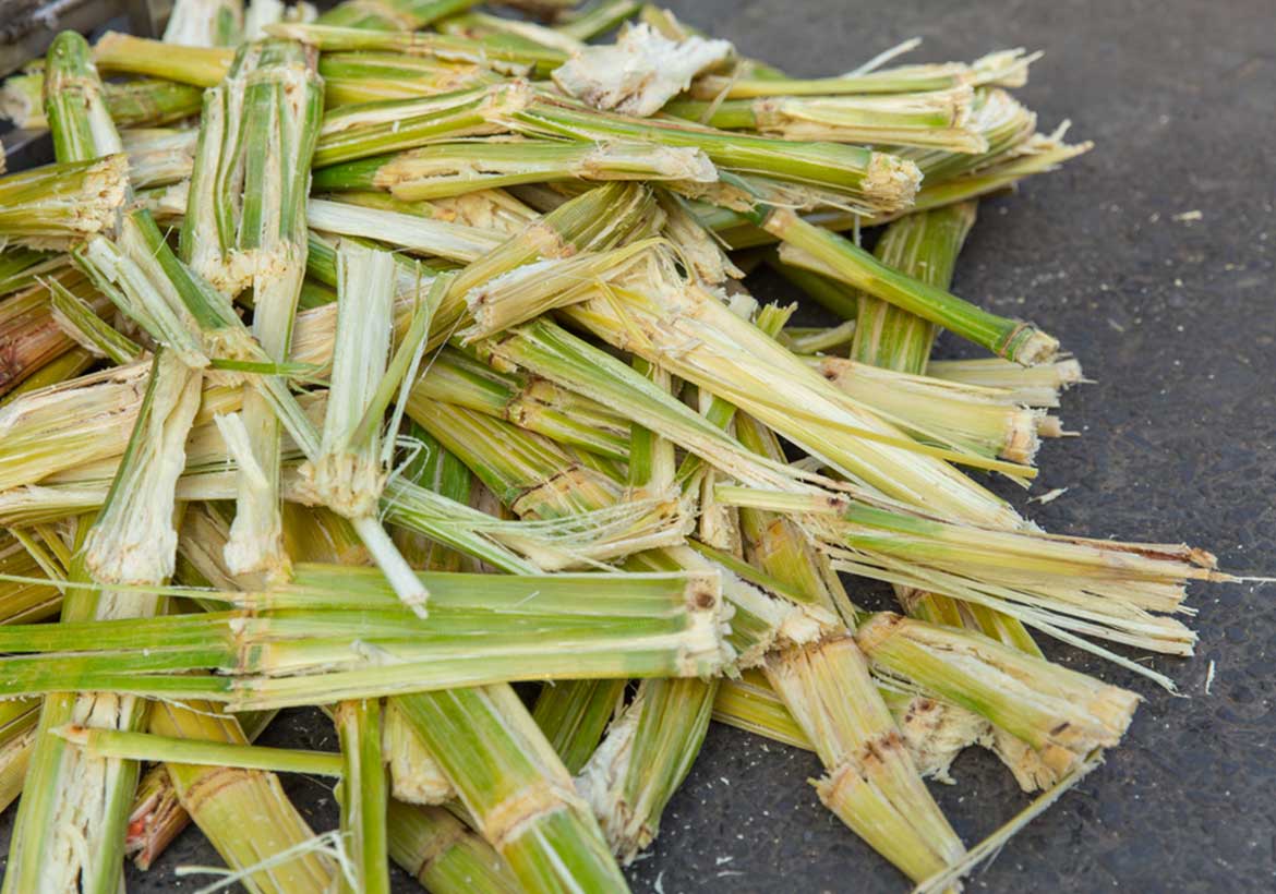 Sieving Screening Solution For Bagasse Pulp Sieving Screening Solution For Bagasse Pulp