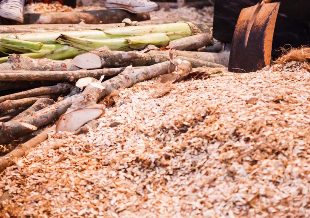 Sieving & Screening Solution for Wood Pulp